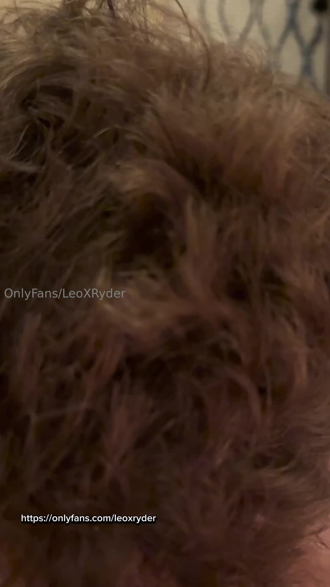 Dl Married Top