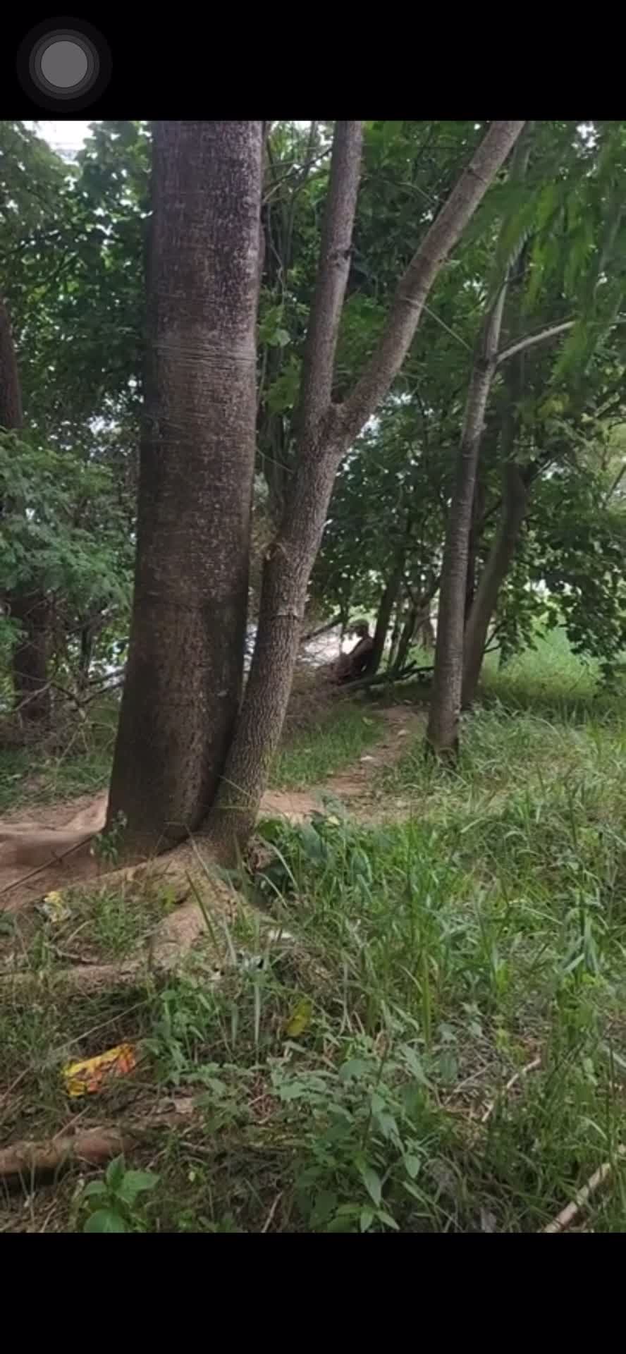 Group Sex In Park